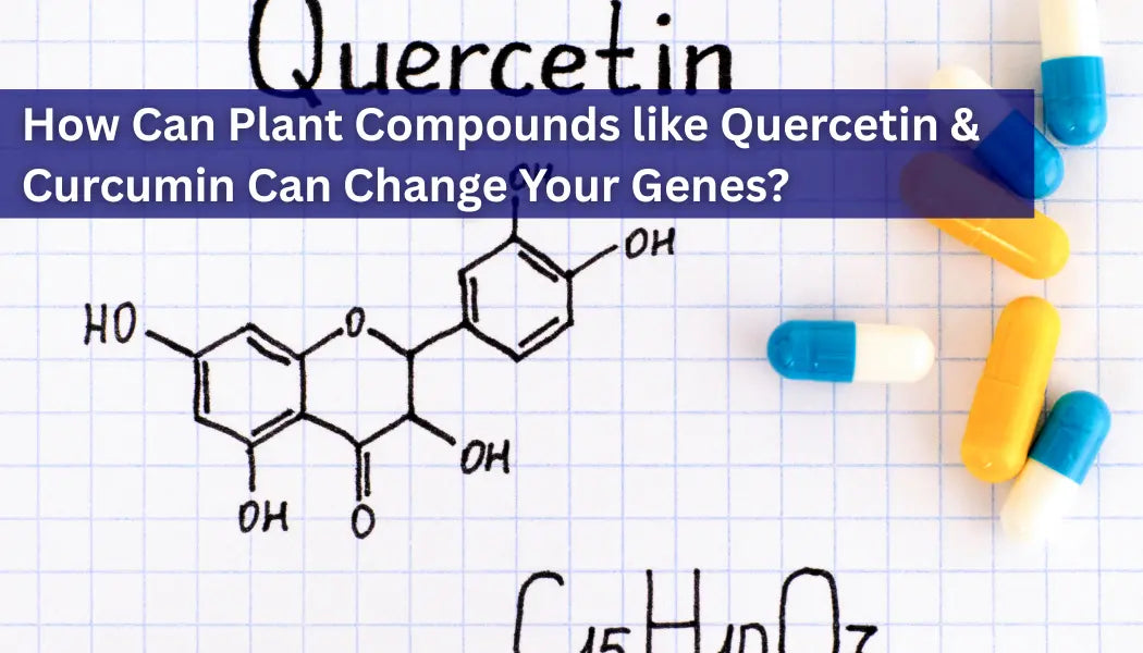Can Plant Compounds like Quercetin, Curcumin, and Green Tea Extract ...