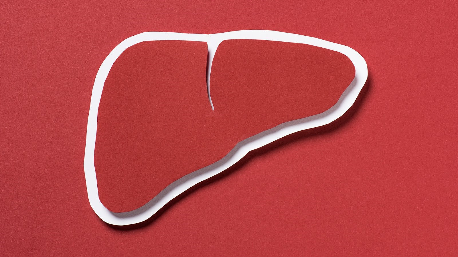 What Are The Symptoms & Treatments For Liver Problems | Dr. Clark Store