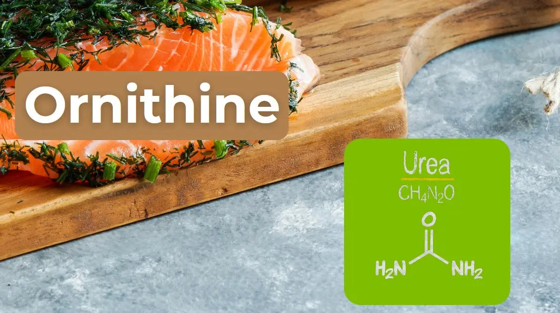 What is Ornithine and Why did Dr. Clark Advise Taking It? - Dr. Clark ...