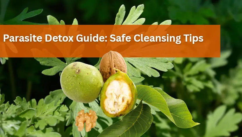 Parasite Detox Guide: Safe Cleansing Tips - Dr. Clark Store
