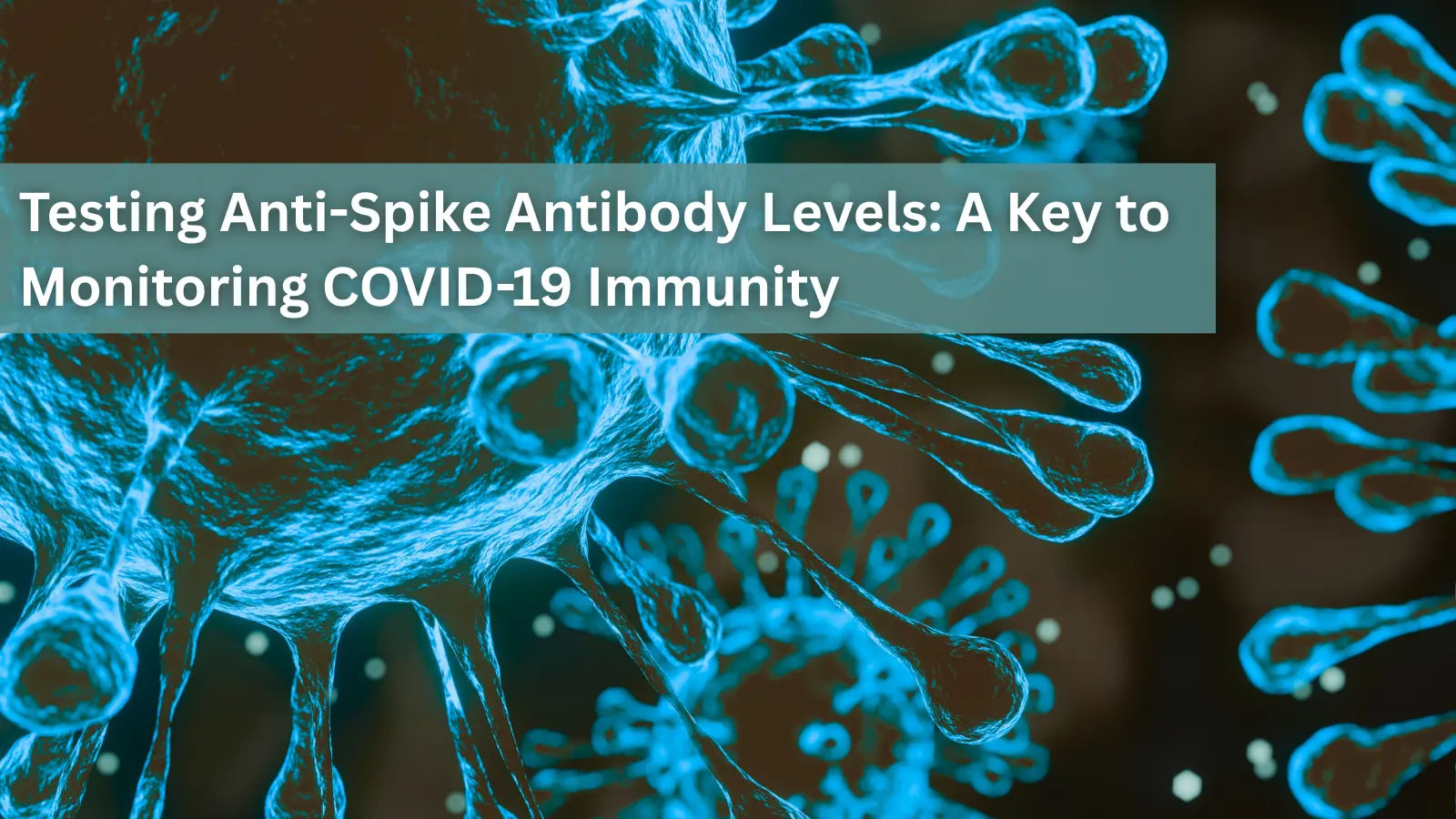 Testing Anti-Spike Antibody Levels: A Key to Monitoring COVID-19 – Dr ...