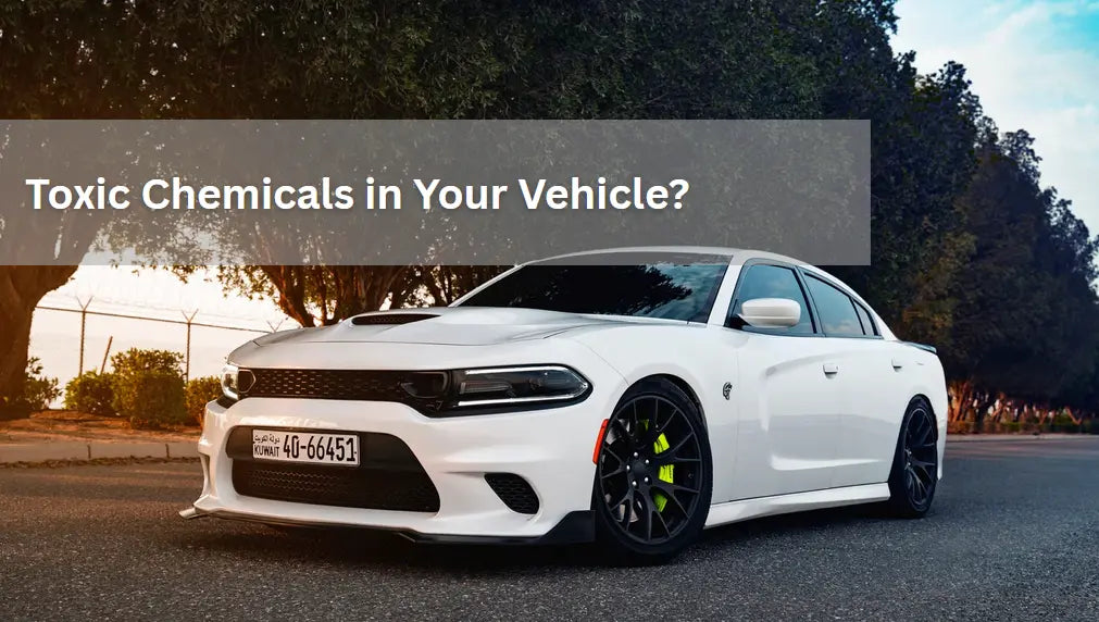 Toxic Chemicals in Your Vehicle? - Dr. Clark Store