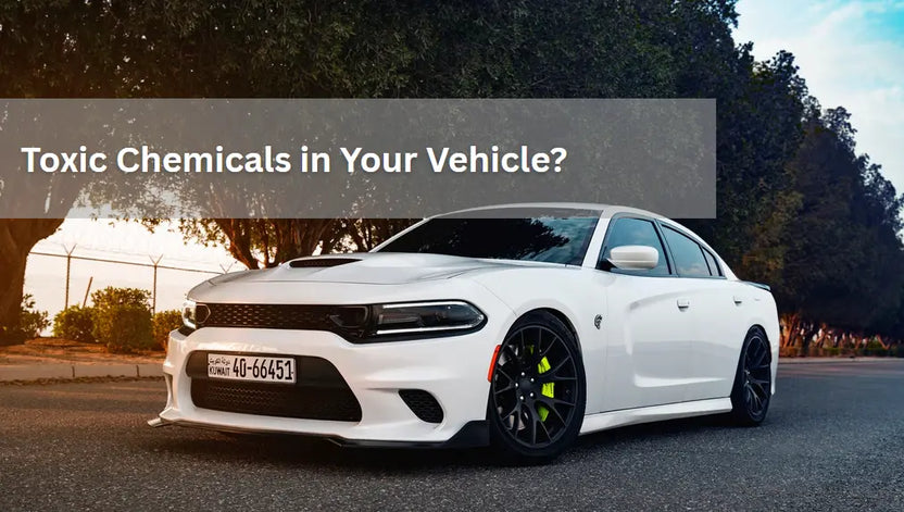 Toxic Chemicals in Your Vehicle? - Dr. Clark Store
